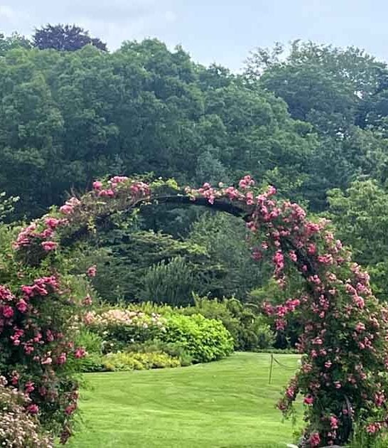 gorgeous arboretum massachusetts ftr