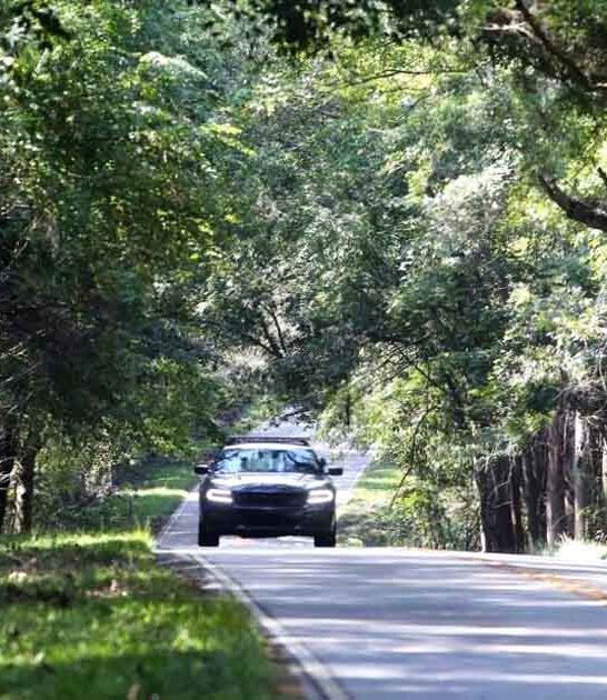 gorgeous byways south carolina ftr