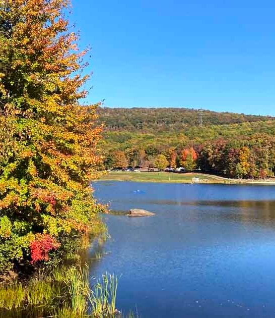 gorgeous maryland hidden lake ftr