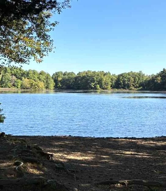 gorgeous pond trail massachusetts ftr