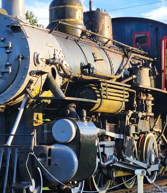 gorgeous train south carolina ftr