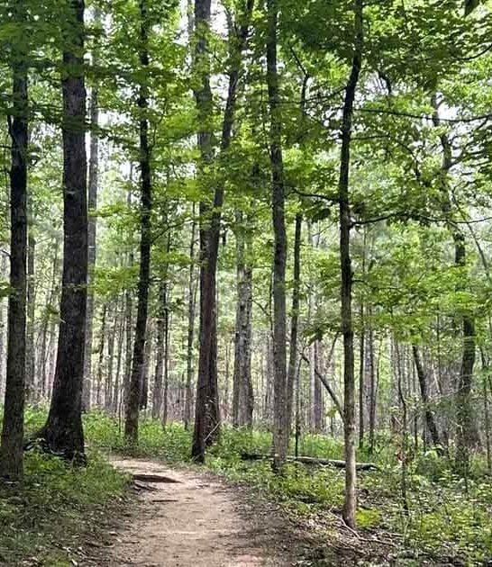 gorgeous waterfalls alabama hike ftr