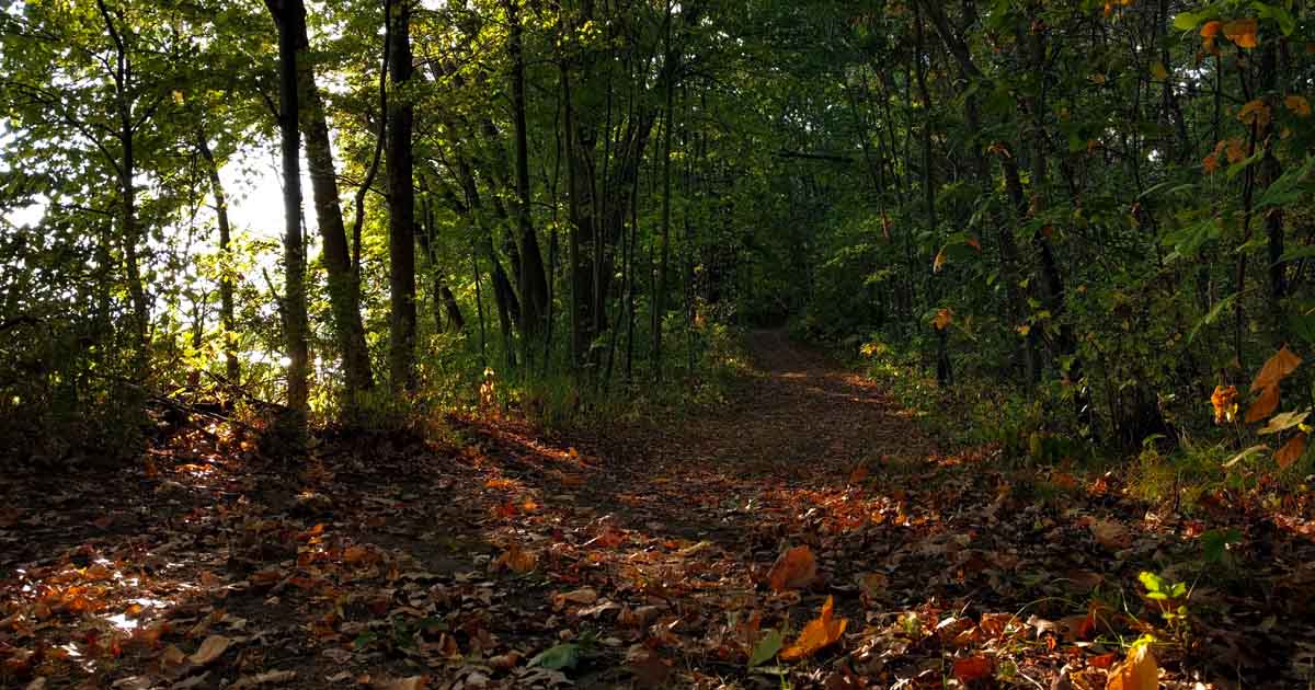 Few People Know That One Of The Greatest Birding Trails In America Is ...