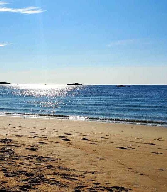 half mile beach massachusetts ftr
