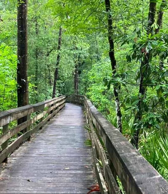 hidden florida adorable waterfall ftr