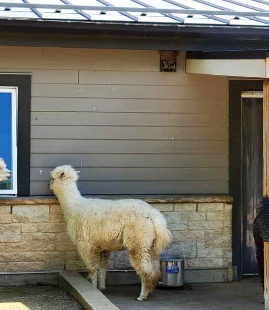 hidden free zoo wisconsin ftr