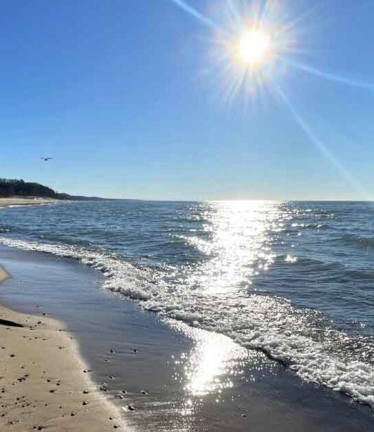 hidden michigan beach escape ftr