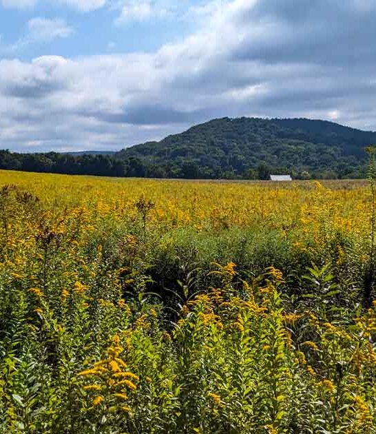 hidden park maryland breath ftr