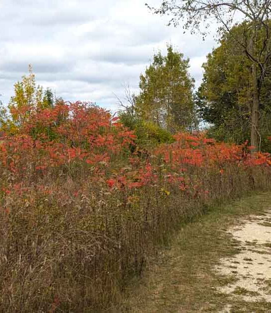 hidden wisconsin park paradise ftr