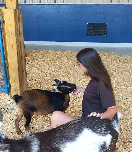 hidden zoo kentucky family ftr