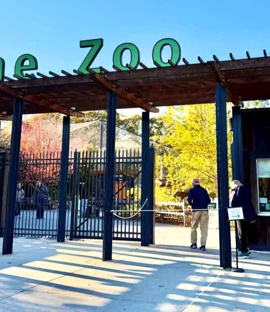 hidden zoo massachusetts trip ftr