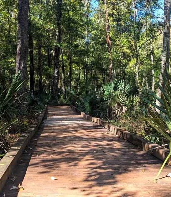 hike south carolina picturesque ftr