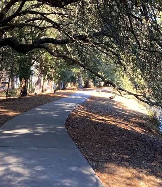 hike south carolina trail ftr