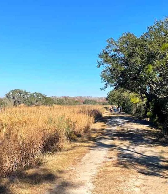 hike trail south carolina ftr