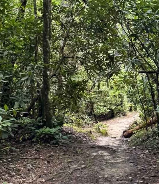 hikes country south carolina ftr