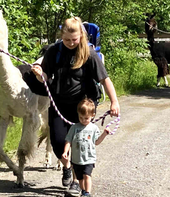 hiking llamas new york ftr