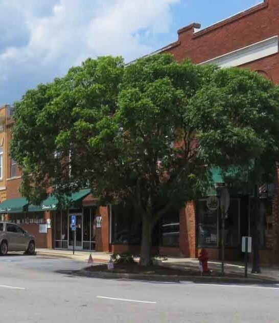 historic towns south carolina ftr