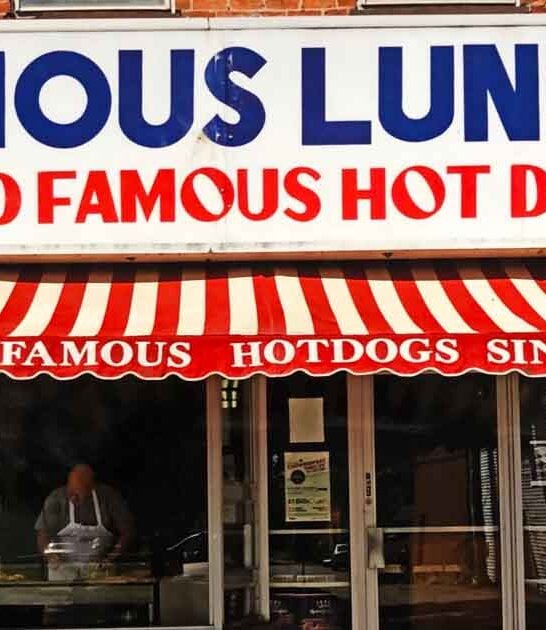 hot dogs new york ftr