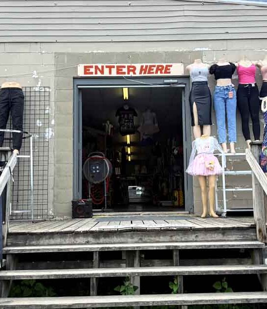 huge virginia flea market ftr