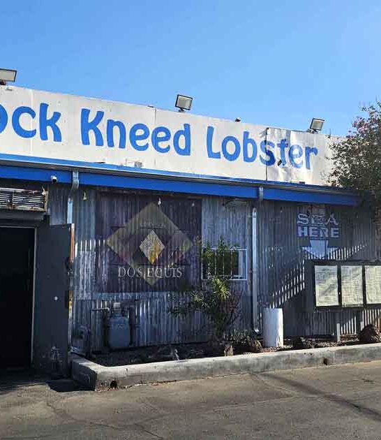 iconic seafood restaurant arizona ftr