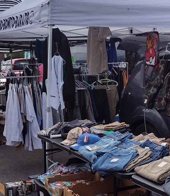 illinois bargain market gem ftr