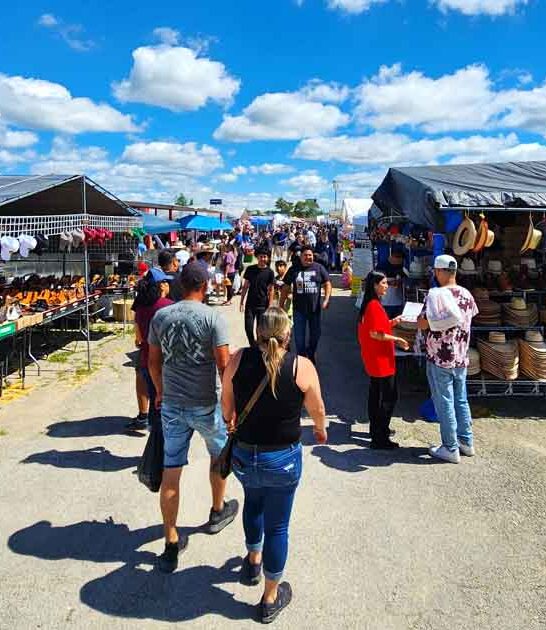 illinois flea market shopping ftr