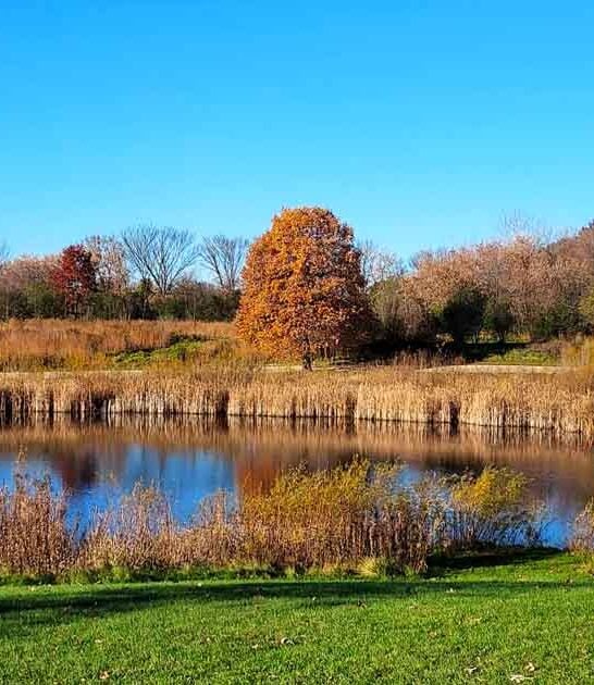 illinois hidden gem park ftr