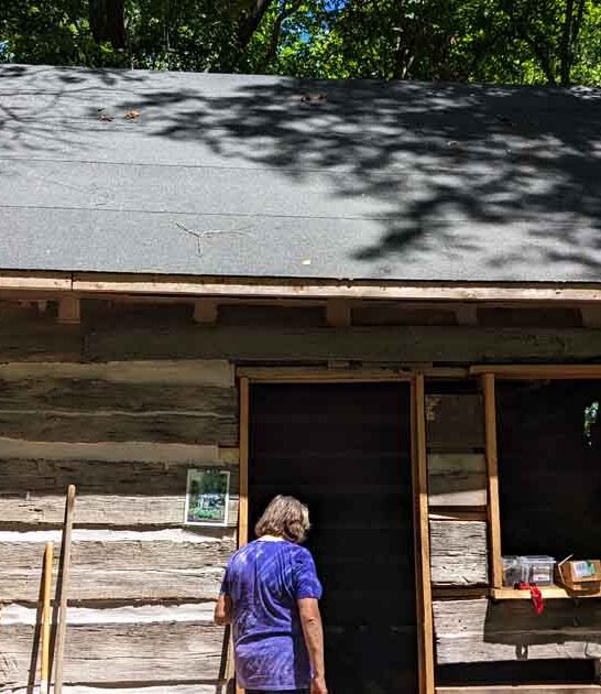 illinois log cabin village ftr