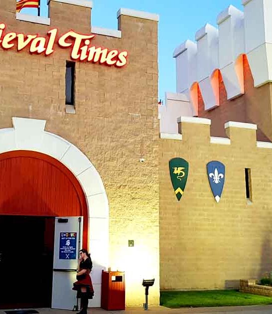 illinois medieval themed gem ftr