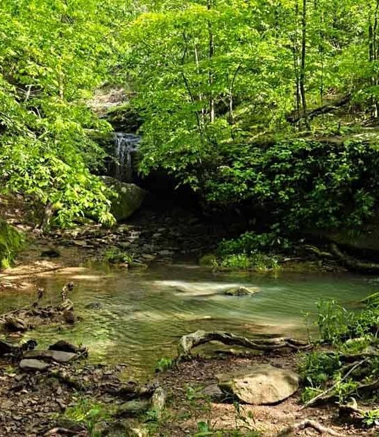 illinois waterfall easy hike ftr