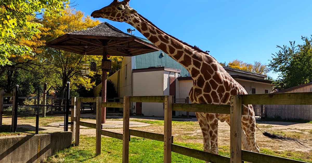 There's A Totally Free Zoo In Wisconsin And It's Incredible