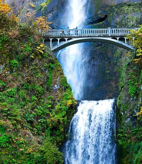 incredible oregon destinations tank ftr