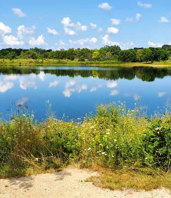 incredible small park illinois ftr