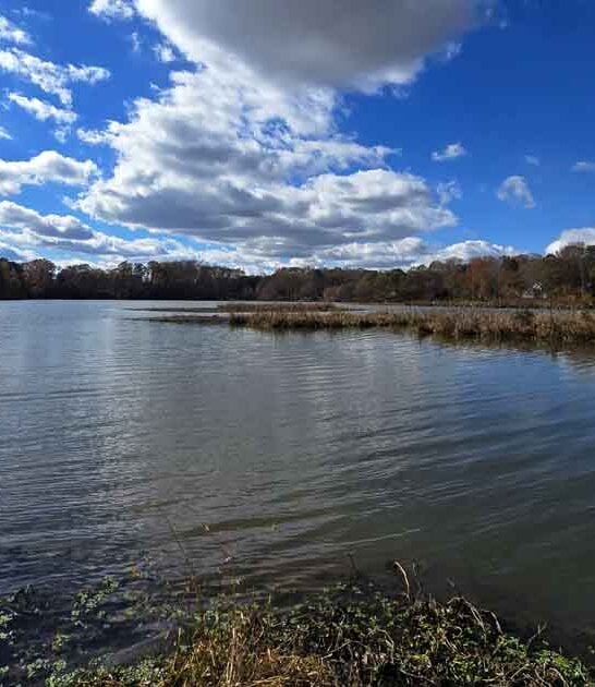 incredible south carolina park ftr