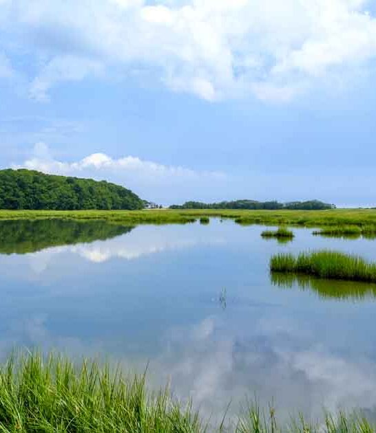 incredible state park massachusetts ftr