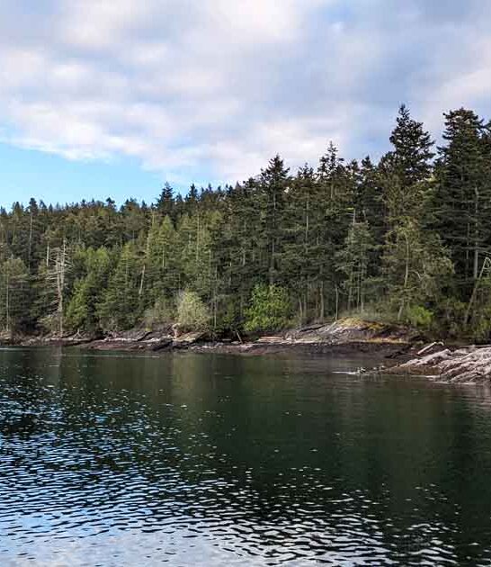 incredible state park washington ftr