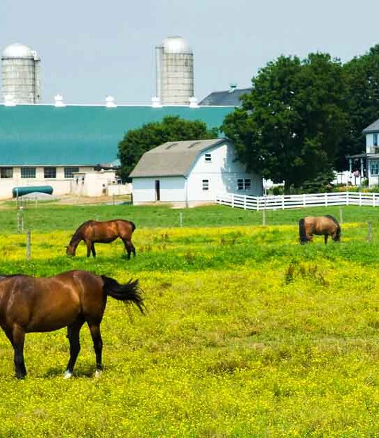 incredible towns pennsylvania amish ftr