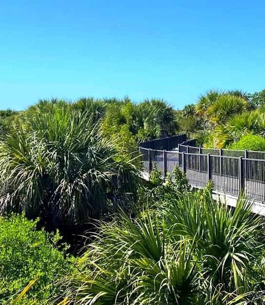 incredible wildlife refuge florida ftr