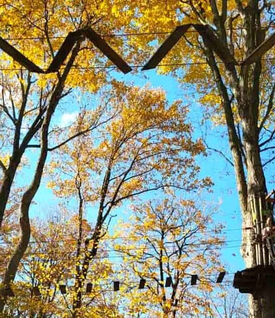 indiana epic canopy course ftr