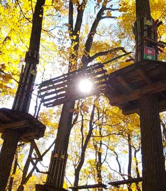 indiana exhilarating treetop experience ftr