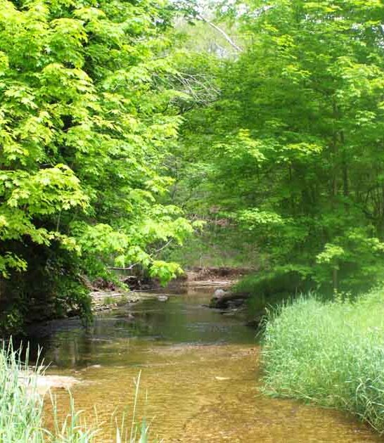 indiana secret nature preserve ftr