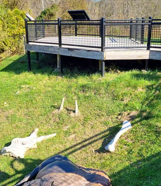 kentucky haunted historic site ftr