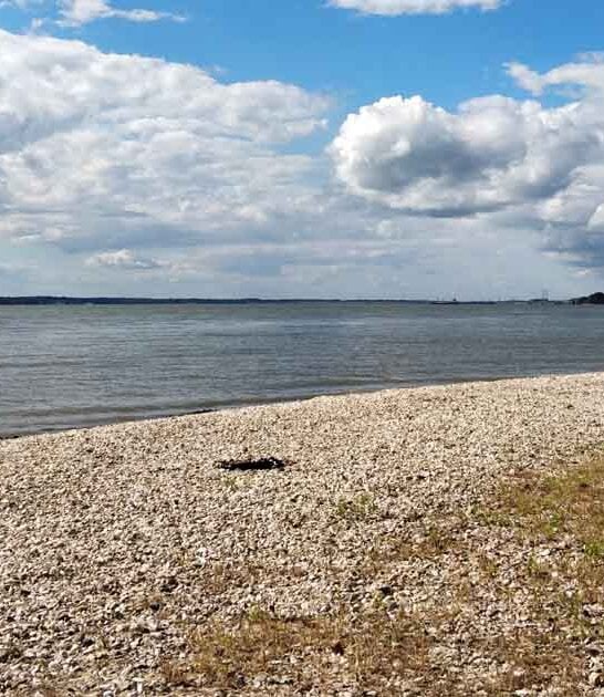 kentucky magical beach ftr