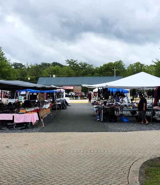 legendary pennsylvania flea market ftr