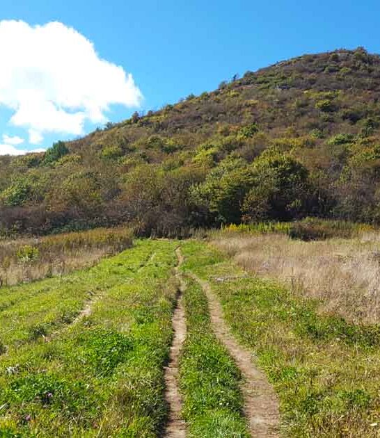 legendary trail north carolina ftr
