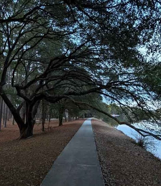 legendary trail south carolina ftr