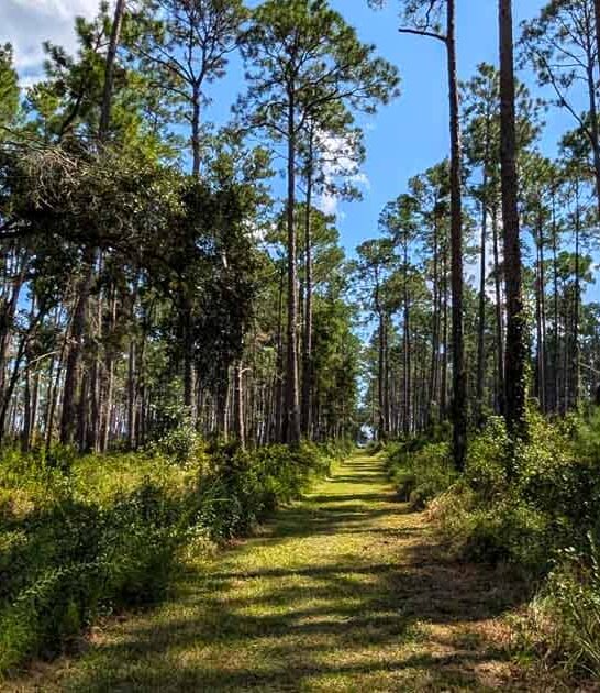 little known spots alabama ftr