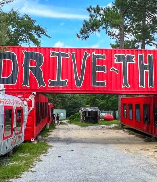 locals alabama incredible spots ftr