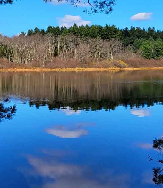 log cabins maryland park ftr