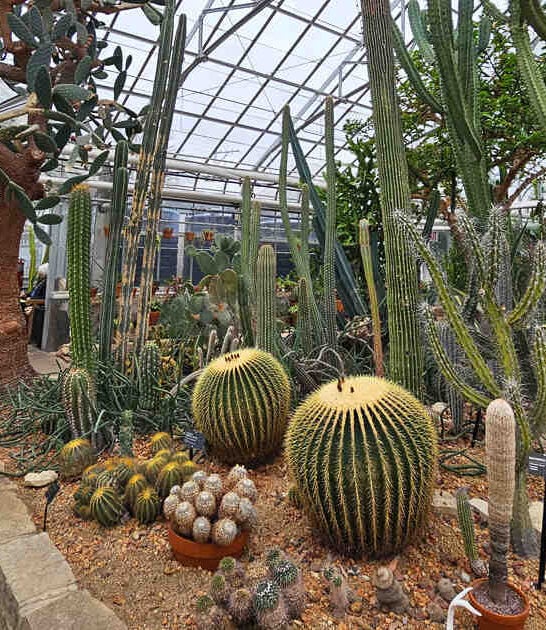 lush illinois conservatory ftr